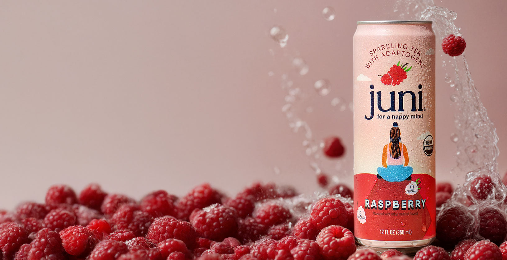 Juni Sparkling Adaptogen Drinks | Ashwagandha, Lion's Mane, Green Tea ...